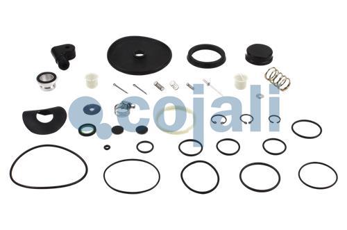 6012109 | 4757120002 | KIT DE REPARACIÓN DE VÁLVULA - Cojali Parts