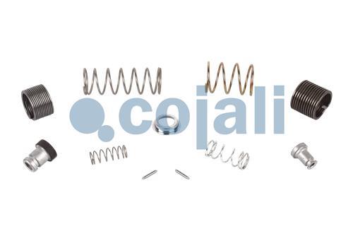 6012137 | 9617220032 | VALVE REPAIR KIT - Cojali Parts