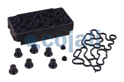6012162 | 9325109592 | VALVE REPAIR KIT - Cojali Parts