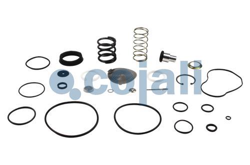 6012163 | NO OEM | KIT DI RIPARAZIONE DELLA VALVOLA - Cojali Parts