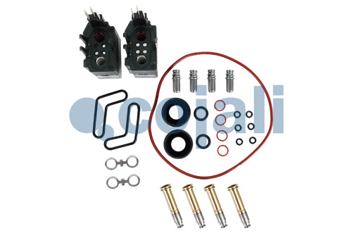 6012186 | 4801049212 | VALVE REPAIR KIT - Cojali Parts