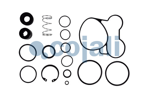 6012224 | 4802029212*X | VALVE REPAIR KIT - Cojali Parts