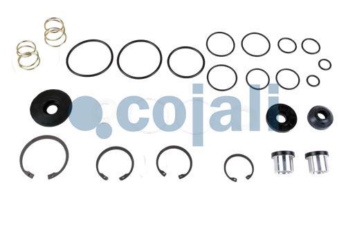 6012296 | 4613159282 | VALVE REPAIR KIT - Cojali Parts