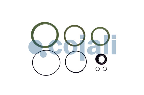 6012314 | 4213509312 | GEARBOX REPAIR KIT - Cojali Parts