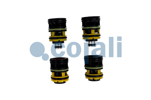 6012320 | 4213509322 | GEARBOX REPAIR KIT - Cojali Parts