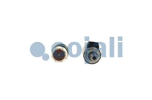6012331 | 4213509272 | GEARBOX REPAIR KIT - Cojali Parts