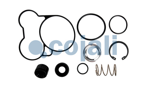 6012354 | 4802029212*X | VALVE REPAIR KIT - Cojali Parts