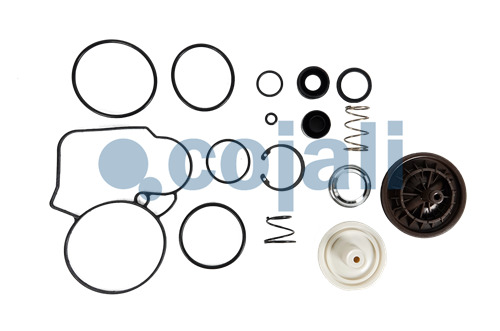 6012355 | 4802049202 | VALVE REPAIR KIT - Cojali Parts