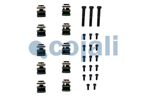 6012406 | 4213559512 | GEARBOX REPAIR KIT - Cojali Parts