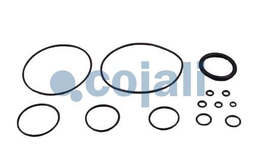 6014110 | II37677008 | VALVE REPAIR KIT - Cojali Parts