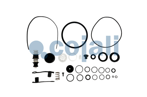 6034050 | NO OEM | CLUTCH SERVO REPAIR KIT - Cojali Parts